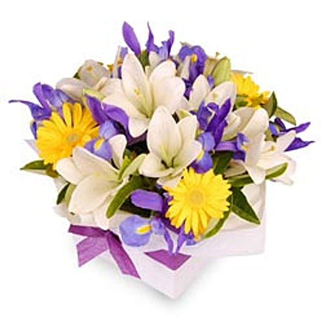 Glory Box australia | Gift Glory Box- FNP