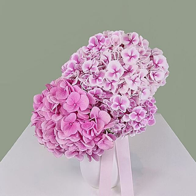 Flourish Fancy australia | Gift Flourish Fancy- FNP