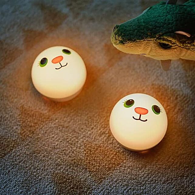 Led Night Light Set Of 2 australia | Gift Led Night Light Set Of 2- FNP
