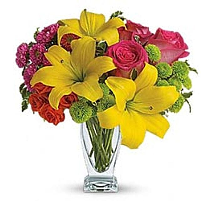 Splash canada | Gift Splash- FNP