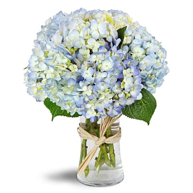 Blue Hydrangea Glass Vase canada | Gift Blue Hydrangea Glass Vase- FNP