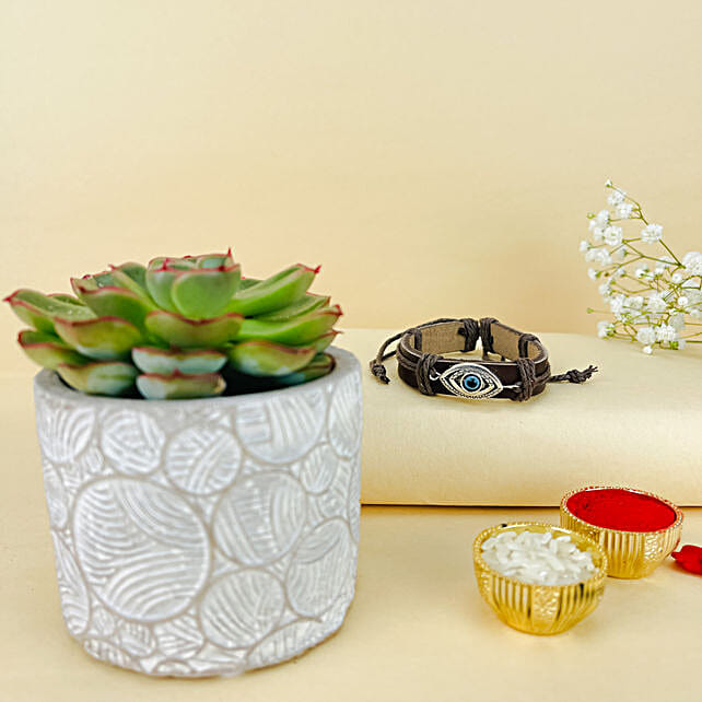 Evil Eye Bracelet Rakhi & Succulent Plant Pot canada | Gift Evil Eye ...