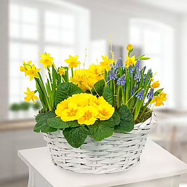 Easter Surprise In A Basket germany | Gift Easter Surprise In A Basket- FNP