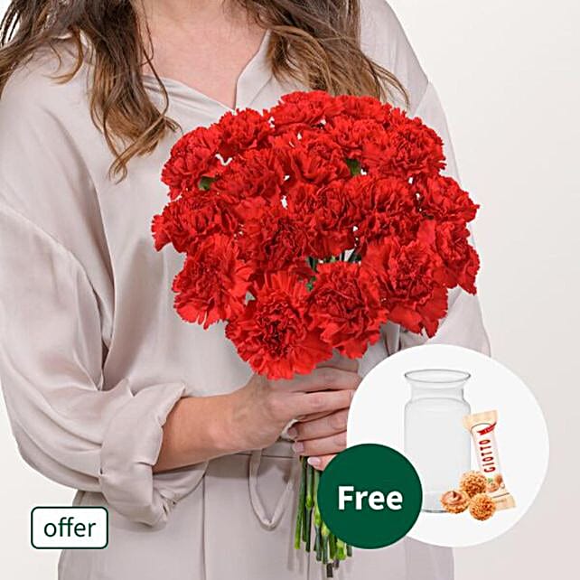 Carnations Bunch in Vase germany | Gift Carnations Bunch in Vase- FNP