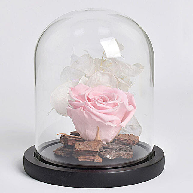 Graceful Pink Forever Rose jordan | Gift Graceful Pink Forever Rose- FNP