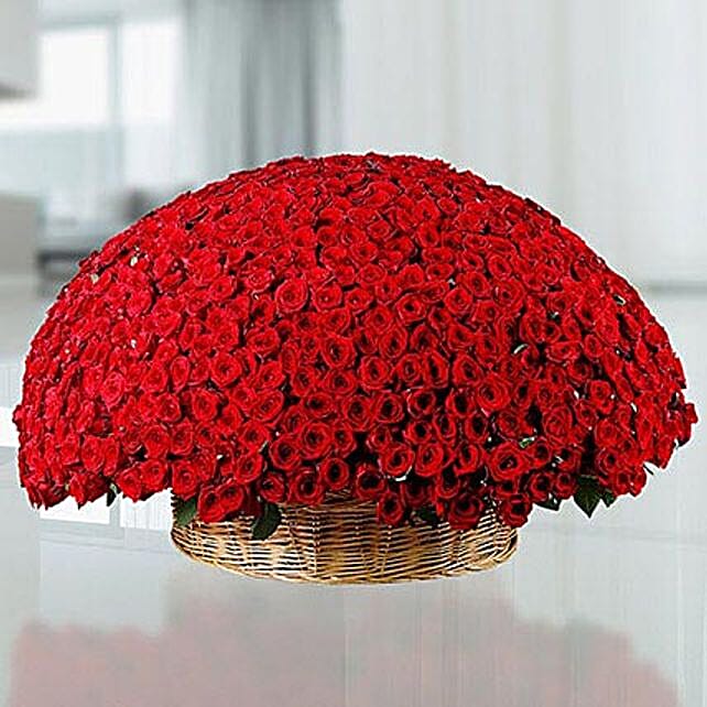 Basket Of 800 Red Roses kuwait | Gift Basket Of 800 Red Roses- FNP