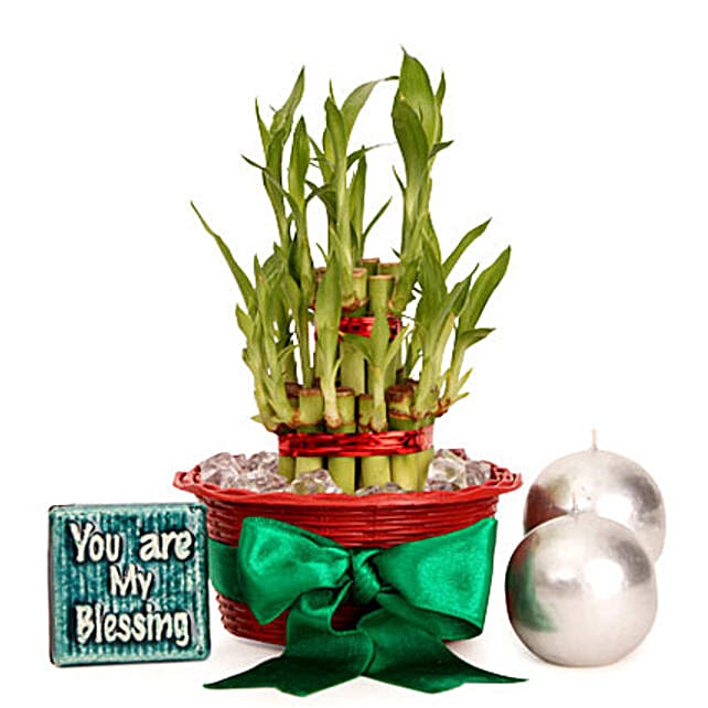 Buy/Send Lucky Bamboo Hamper For You Online- FNP