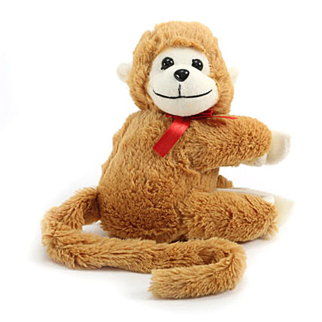Buy/Send Huggable Monkey Online- FNP