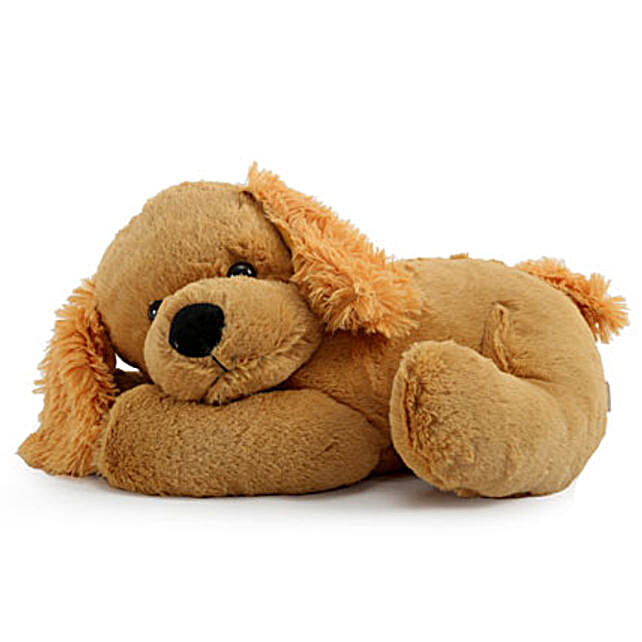 Buy/Send Adorable Cuddly Puppy Online- FNP