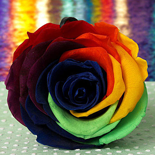 Buy/Send Forever Rainbow Rose Online- FNP