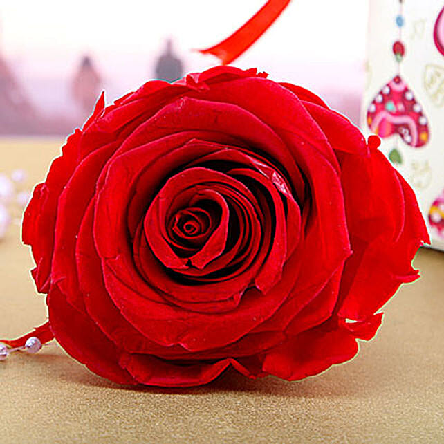 Buy/Send Forever Red Rose Online- FNP
