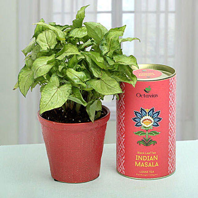 Buy/Send Natural Delight Online- FNP