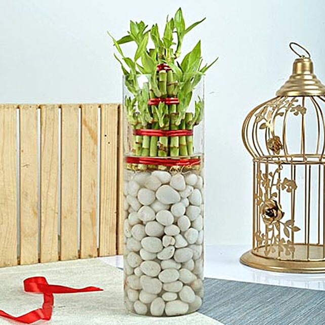 Buy/Send Three Layer Bamboo Decor Terrarium Online- FNP