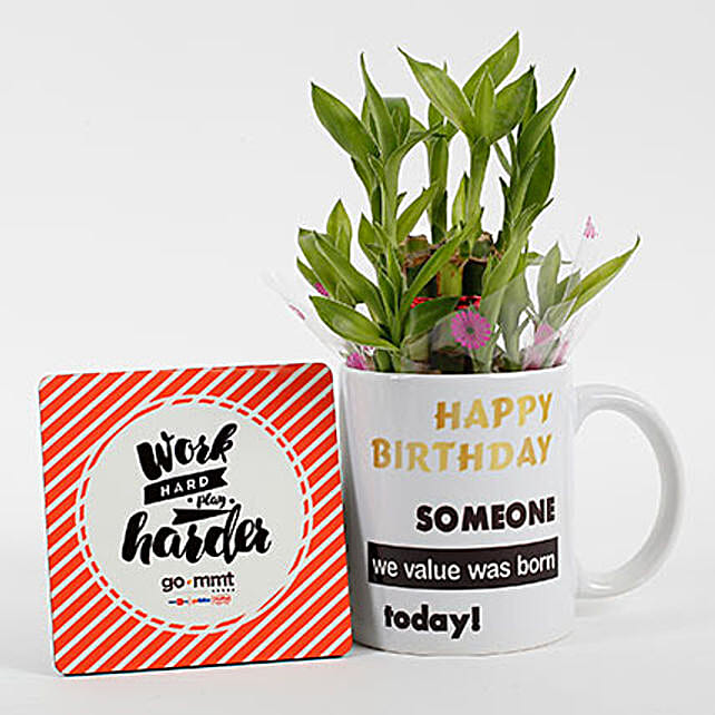 Buy/Send Personalised IBIBO Plant Cour Product Online- FNP