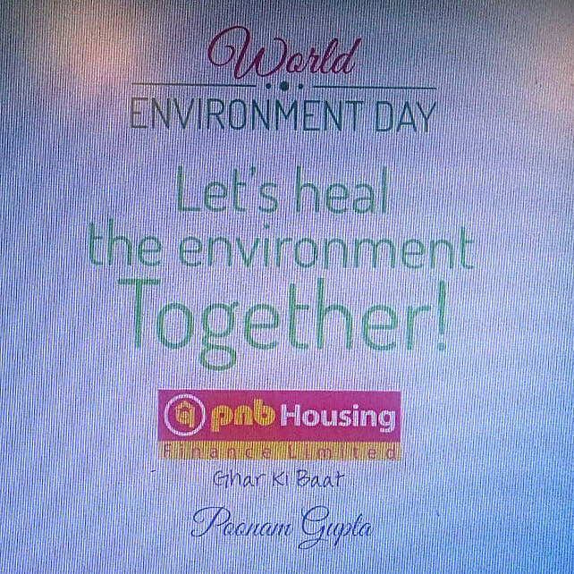 Buy/Send PNB Environment Day Bag Online- FNP