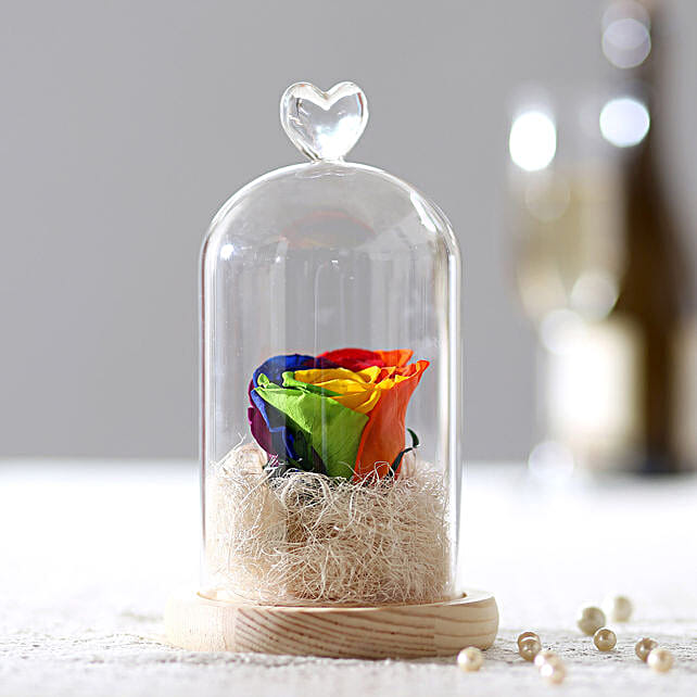 Buy/Send Forever Mystic Rainbow Rose In Glass Dome Online- FNP