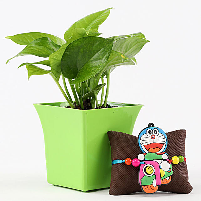 Buy/Send Money Plant in Green Pot Doremon Rakhi Online- FNP