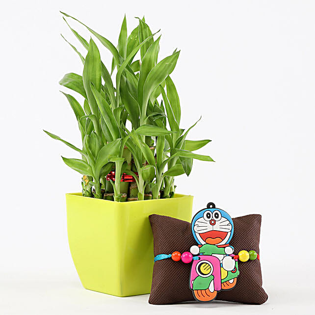 Buy/Send 2 Layer Bamboo in Green Pot Doremon Rakhi Online- FNP
