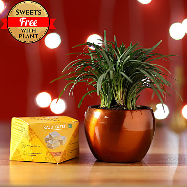 Buy/Send China Grass & Kaju Katli Combo Online- FNP