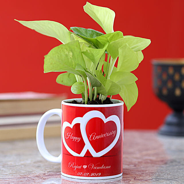 Buy/Send Love Special Golden Money Plant Online- FNP