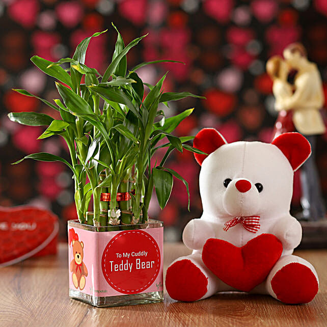 Buy/Send Bamboo Plant & Teddy Bear Online- FNP