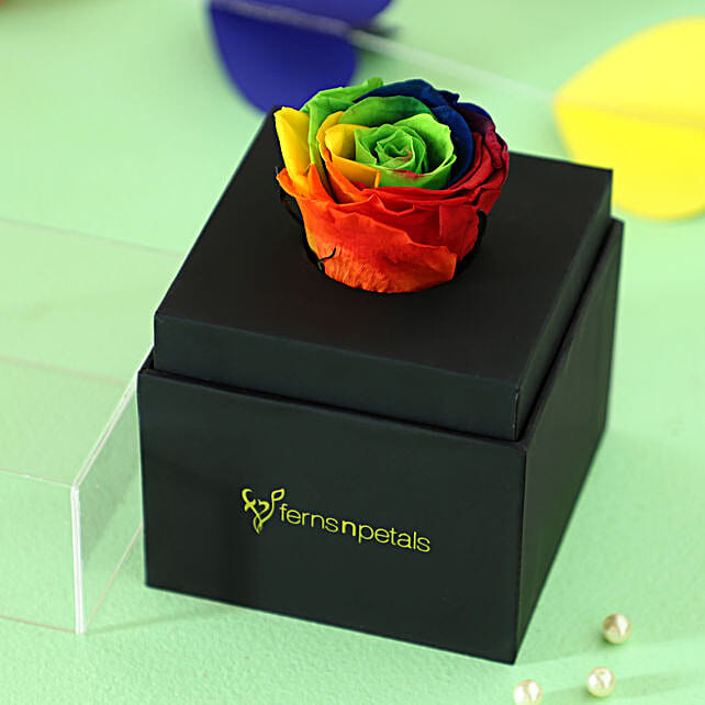 Buy/Send Rainbow Forever Rose In Black Box Online- FNP
