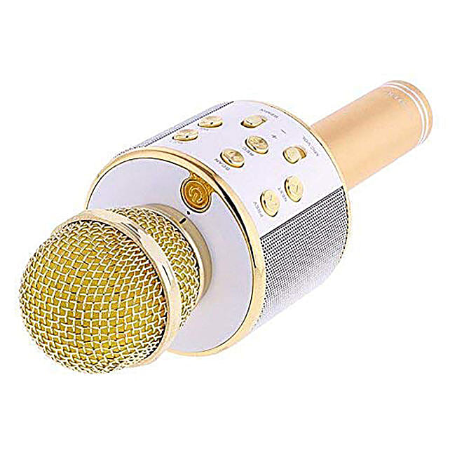 Buy/Send Handheld Wireless Mike Online- FNP