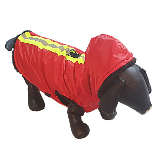 Buy/Send Red Windcheater with a Hood XS Online- FNP