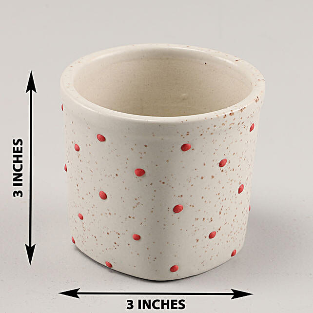 Buy/Send White & Red Polka Dots Pipe Pot Online- FNP