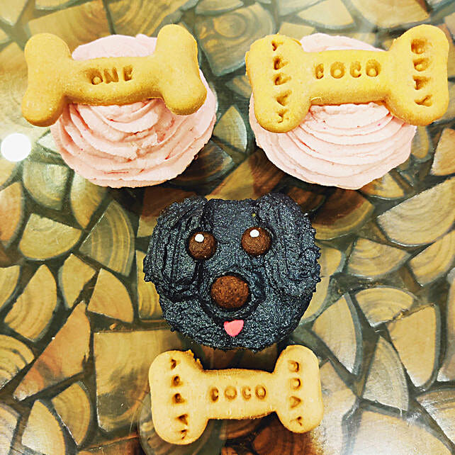 Buy/Send Labrador Pupcakes Combo Apple N Cinnamon Online- FNP