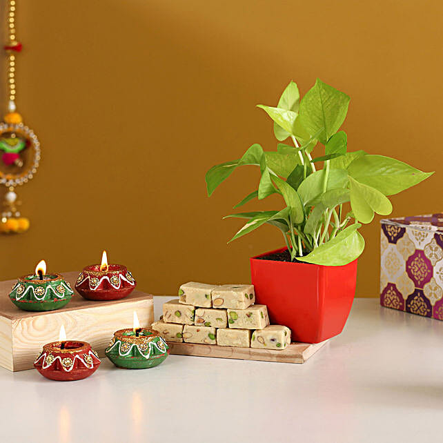 Buy/Send Fabulous Money Plant & Diyas With Mewa Bites Online- FNP