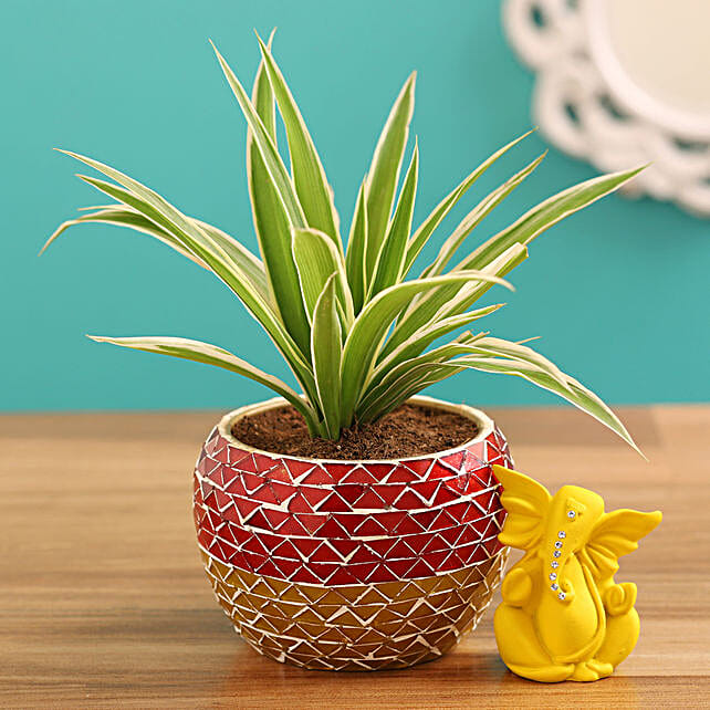 Buy/Send Spider Plant In Mosaic Pot & Decorative Ganesha Idol Online- FNP