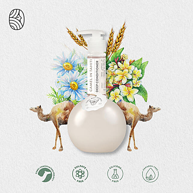 Buy/Send Camel In Tahiti Shampoo Online- FNP