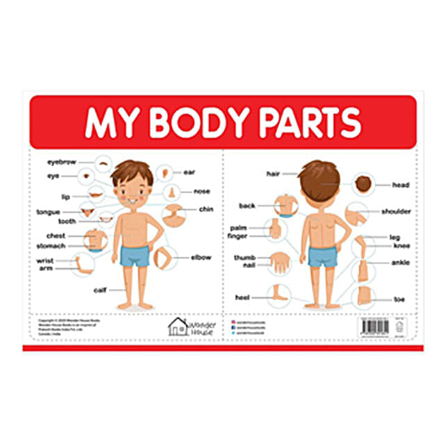 Buy/Send My First Early Learning Educational Poster- My Body Parts ...