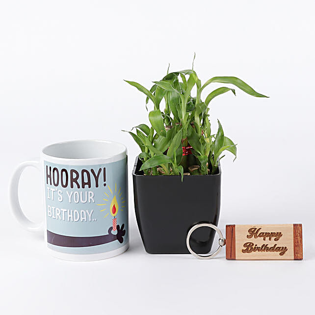Buy/Send bamboo in bp pot n hbd2 mug n hbd eng key chain Online- FNP