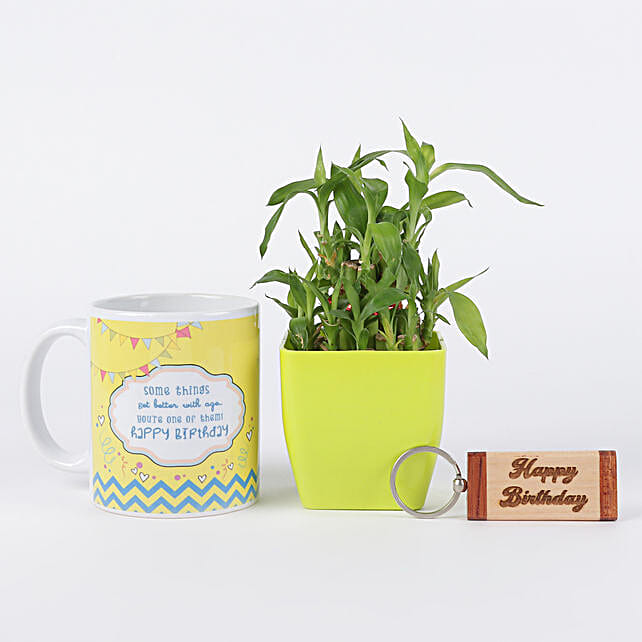 Buy/Send bamboo in gp pot n hbd mug y n hbd eng key chain Online- FNP