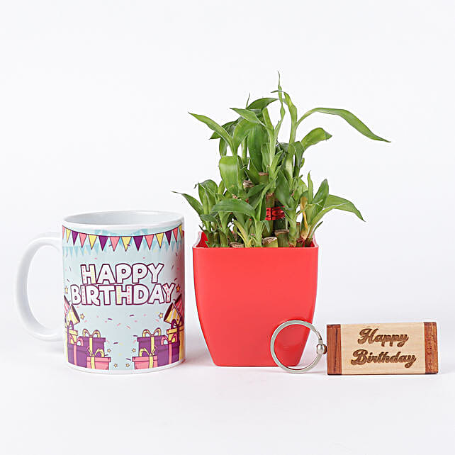 Buy/Send bamboo in rp pot n hbd mug n hbd eng key chain Online- FNP