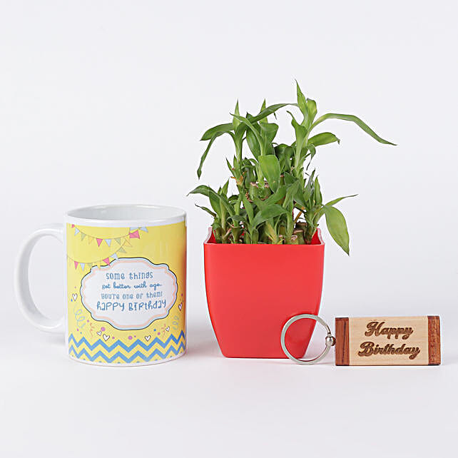 Buy/Send bamboo in rp pot n hbd mug y n hbd eng key chain Online- FNP