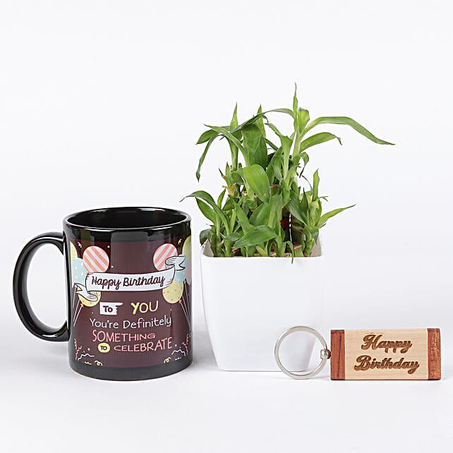 Buy/Send bamboo in wp pot n hbd mug bl n hbd eng key chain Online- FNP