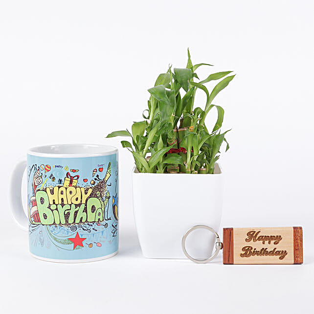 Buy/Send bamboo in wp pot n hbd mug sb n hbd eng key chain Online- FNP