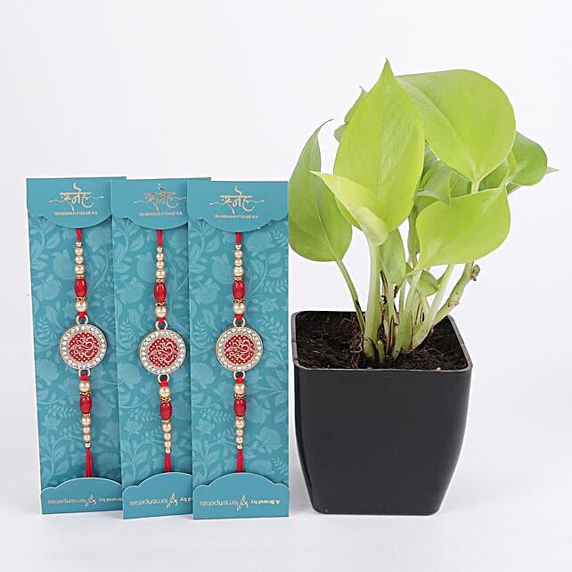 Buy/Send designer ganesha n pearl rakhi n plant mp1182 Online- FNP