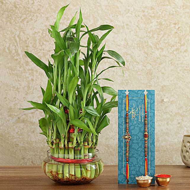 Buy/Send Set of 2 Holy Rakhi & Three Layer Bamboo Vase Online- FNP