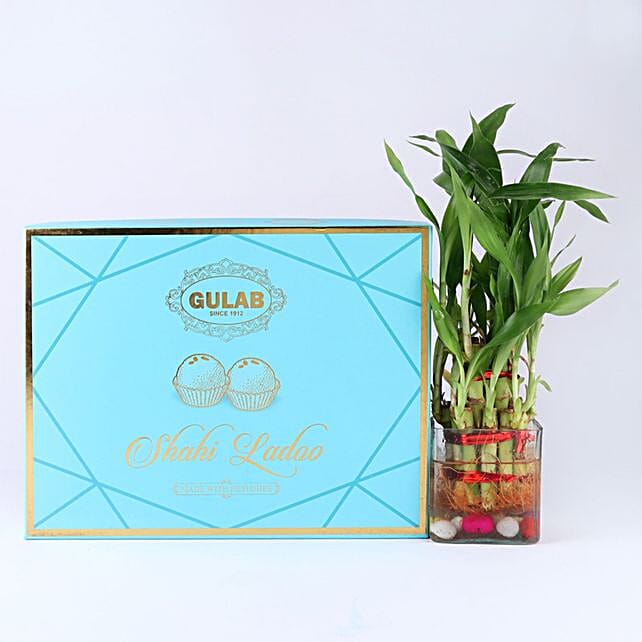 Buy/Send gulab shahi ladoo with 2 layer glass vase Online- FNP