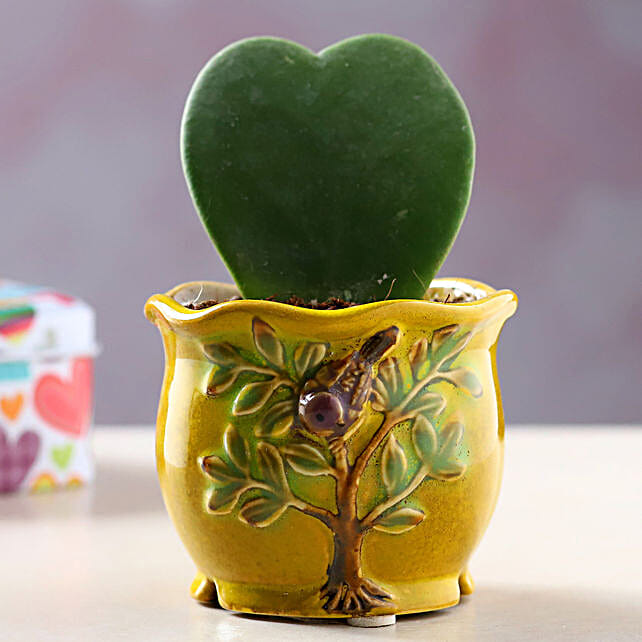 Buy/Send Hoya Plant Yellow Ceramic Bird Pot Online- FNP