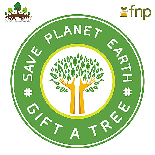 Buy/Send Tree Plant Sapling Set Online- FNP