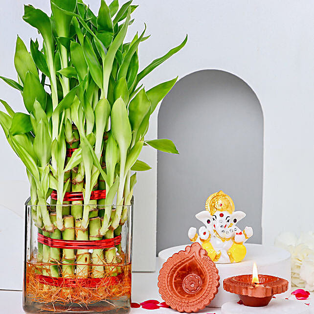 Buy/Send Sacred Bamboo With Illuminated Diwali Online- FNP