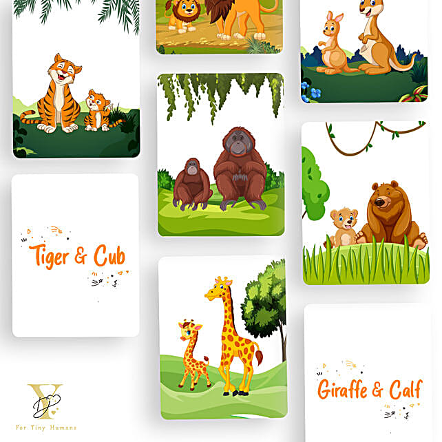 Buy/Send Toddler Tales Flash Card Kit Online- FNP