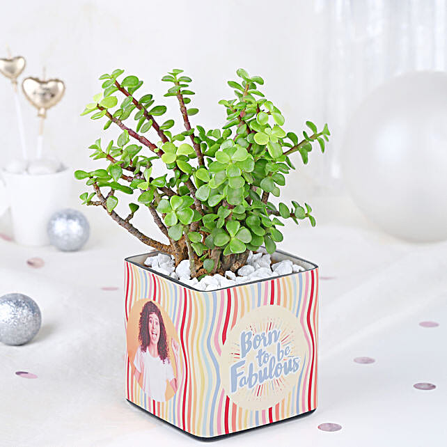 Buy/Send Fabulous Jade Harmony Online- FNP