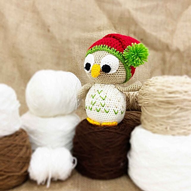 Buy/Send Adorable Handmade Owl Online- FNP