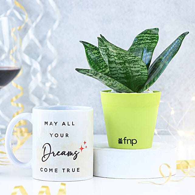 Buy/Send New Year Serenity Combo Online- FNP